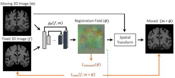 Deep learning in MRI beyond segmentation: Medical image reconstruction ...