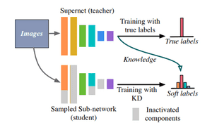 Neural Architecture Search (NAS): basic principles and different ...