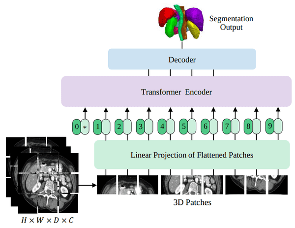 3d Medical Image Segmentation With Transformers Tutorial Ai Summer