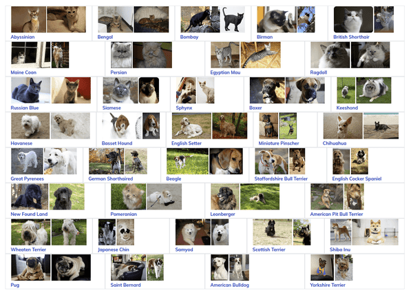 Data preprocessing for deep learning: How to build an efficient big ...