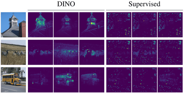 Understanding Vision Transformers (ViTs): Hidden properties, insights ...
