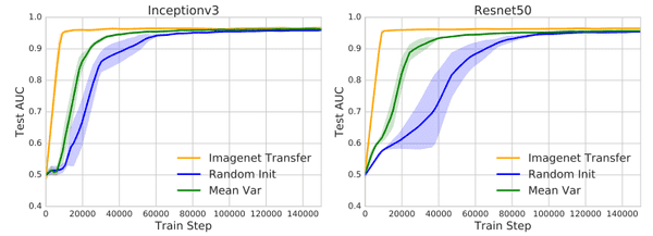 Transfer learning in medical imaging: classification and segmentation ...