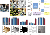Understanding Vision Transformers (ViTs): Hidden properties, insights ...