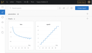 A complete Weights and Biases tutorial | AI Summer