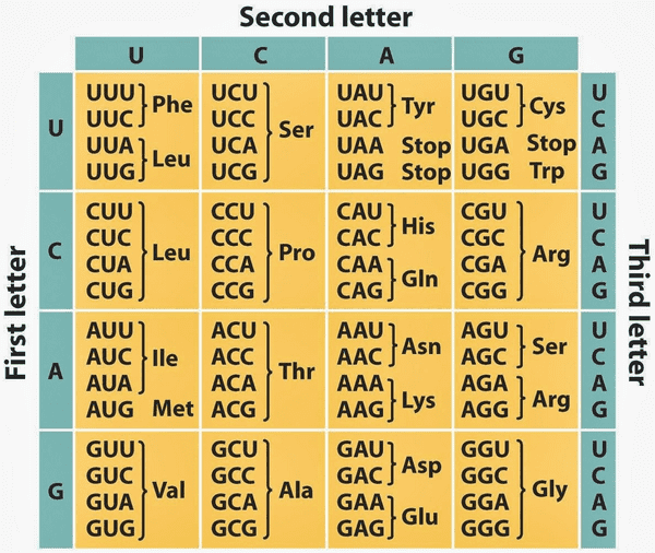Deep learning on computational biology and bioinformatics tutorial ...