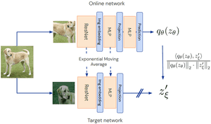 BYOL tutorial: self-supervised learning on CIFAR images with code in ...
