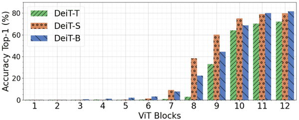 Understanding Vision Transformers (ViTs): Hidden properties, insights ...