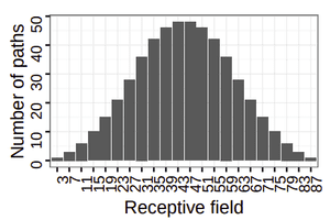 Understanding the receptive field of deep convolutional networks | AI Summer