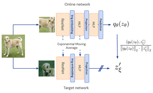 Grokking self-supervised (representation) learning: how it works in computer vision and why | AI ...